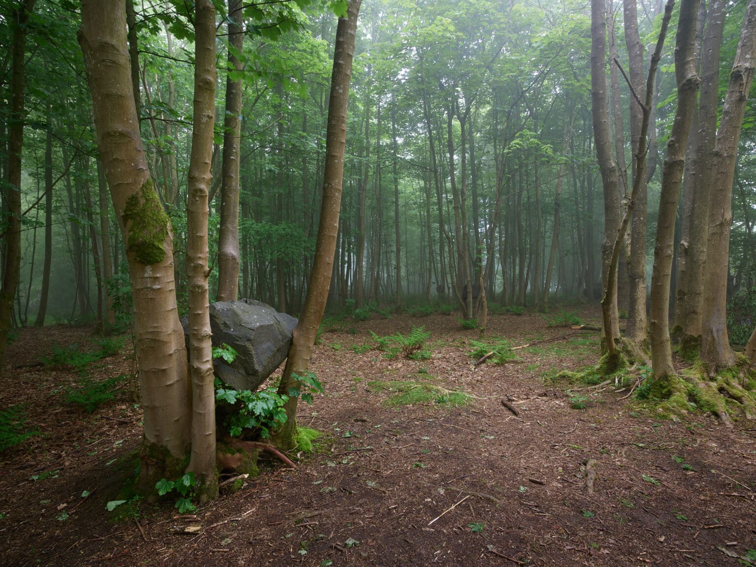 Andy Goldsworthy: Stone Coppice - Jupiter Artland